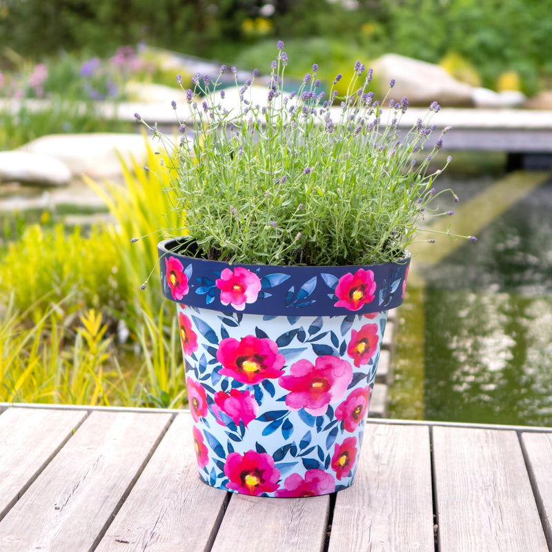 Sunshine Ceramica – sunshineceramica.com