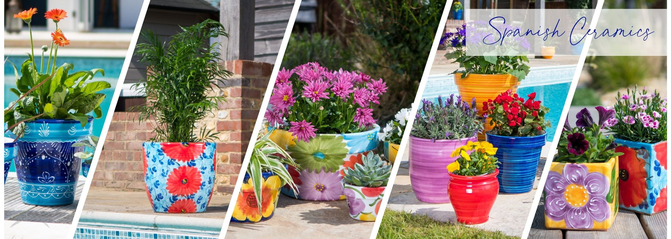 Sunshine Ceramica – sunshineceramica.com