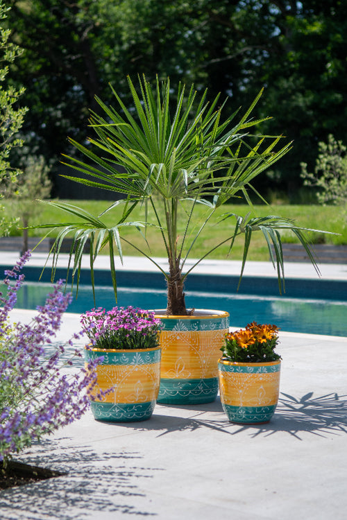 Sunshine Ceramica – sunshineceramica.com