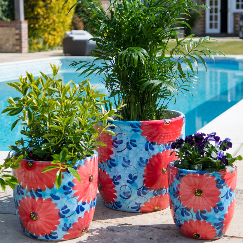 Sunshine Ceramica – sunshineceramica.com