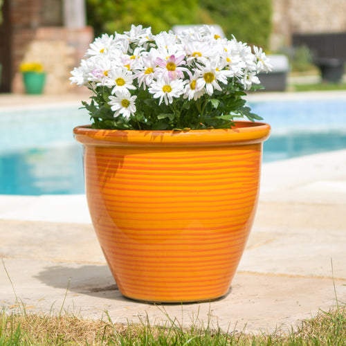 Sunshine Ceramica – sunshineceramica.com