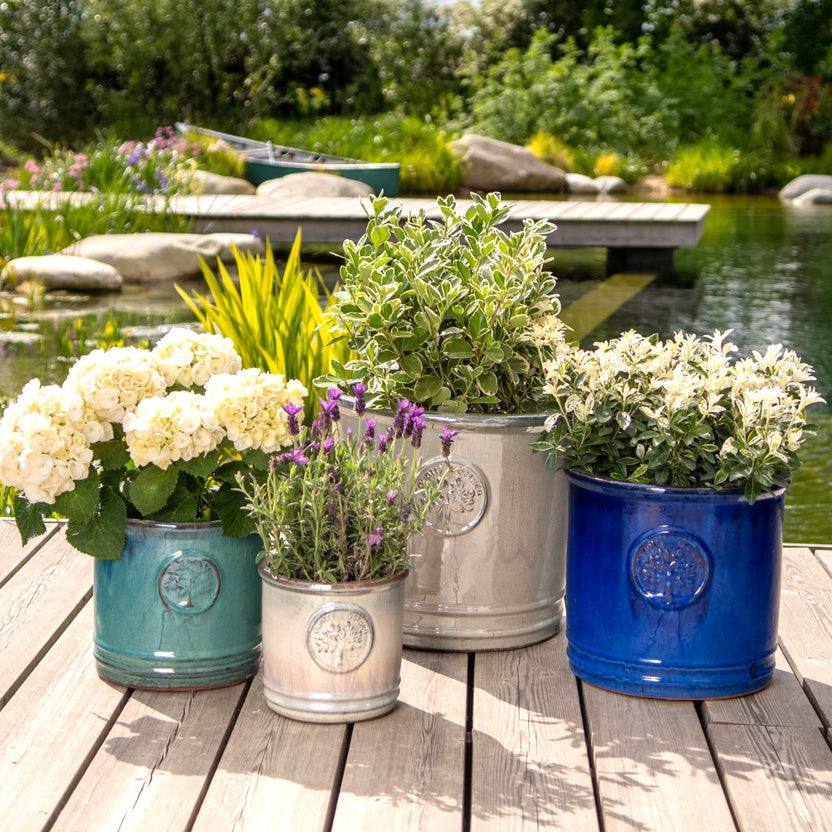 Sunshine Ceramica – sunshineceramica.com