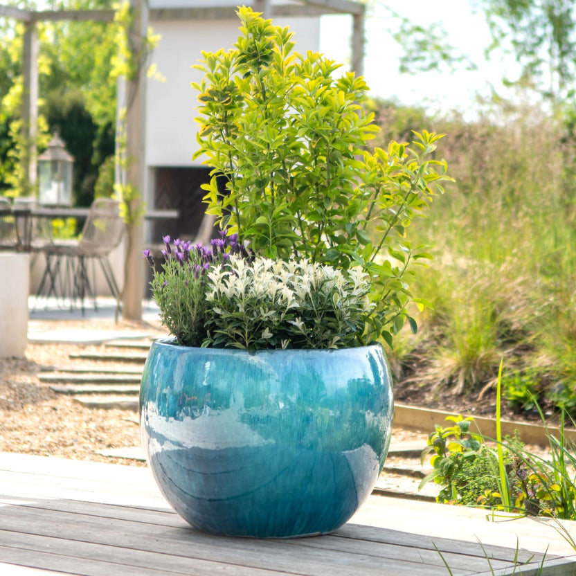 Sunshine Ceramica – sunshineceramica.com