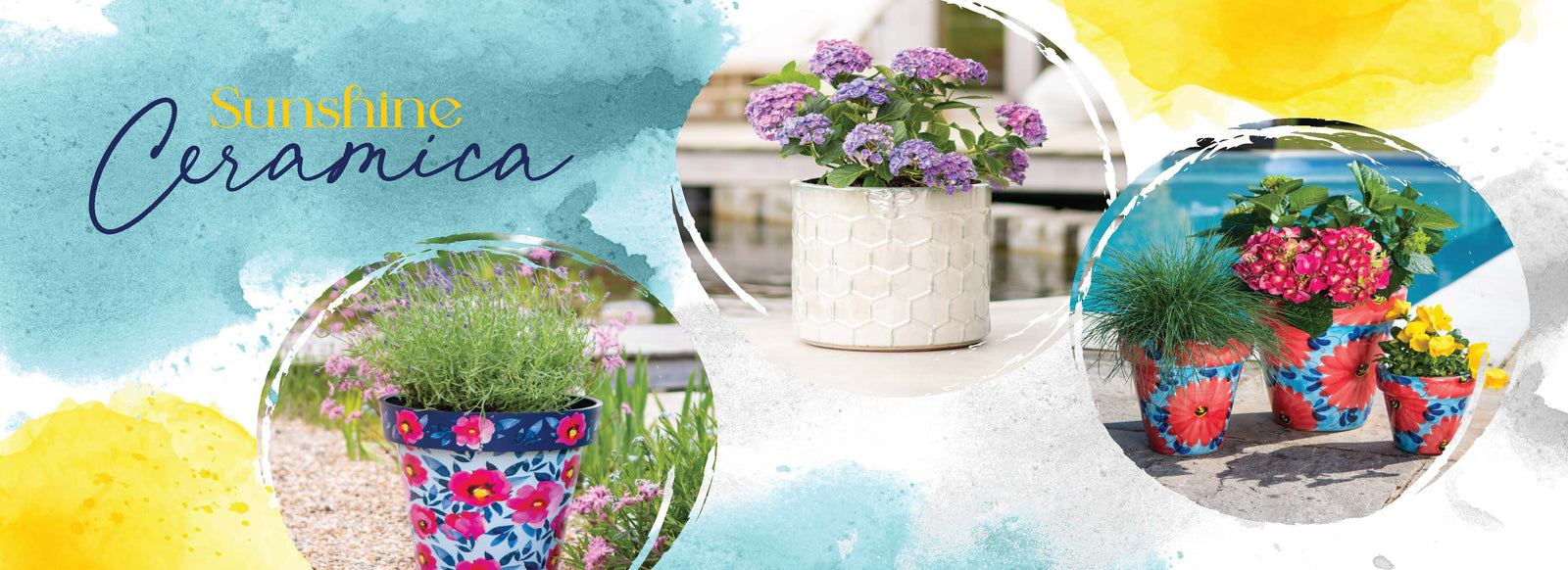 Sunshine Ceramica – sunshineceramica.com