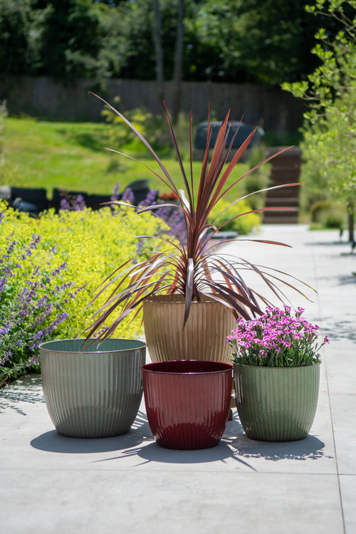Sunshine Ceramica – sunshineceramica.com
