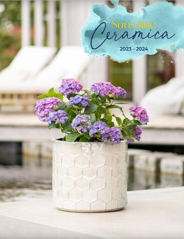 Sunshine Ceramica – sunshineceramica.com