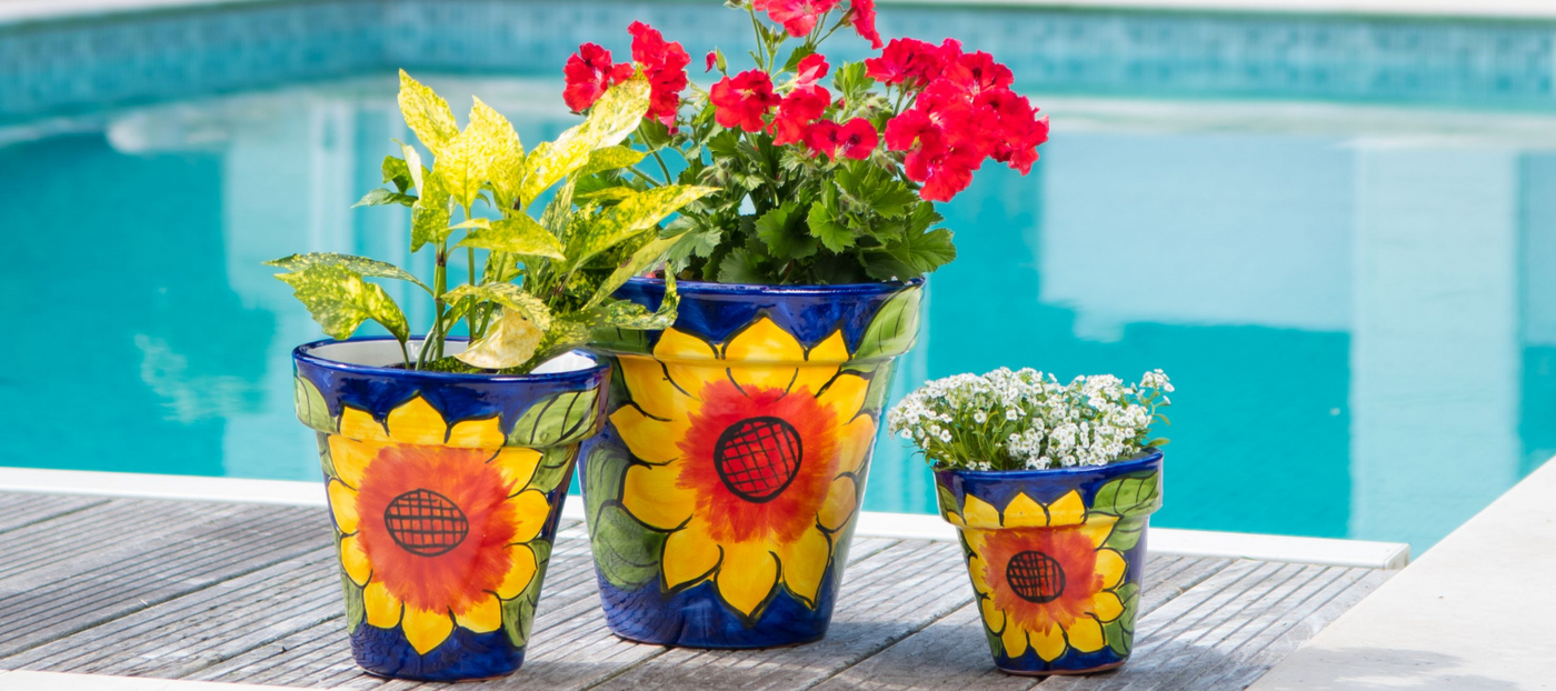 Sunshine Ceramica – sunshineceramica.com