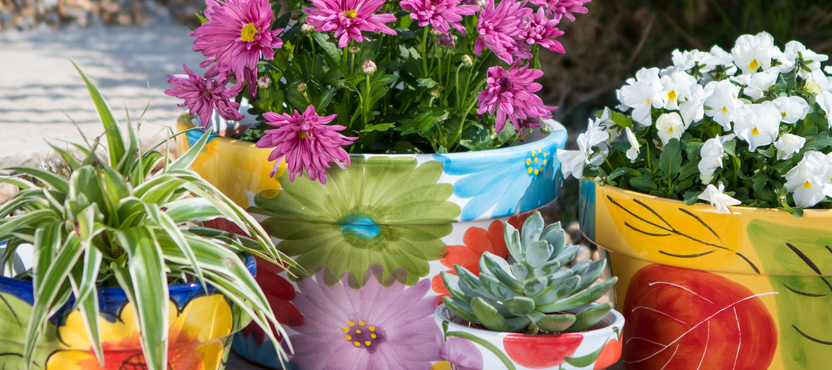 Sunshine Ceramica – sunshineceramica.com