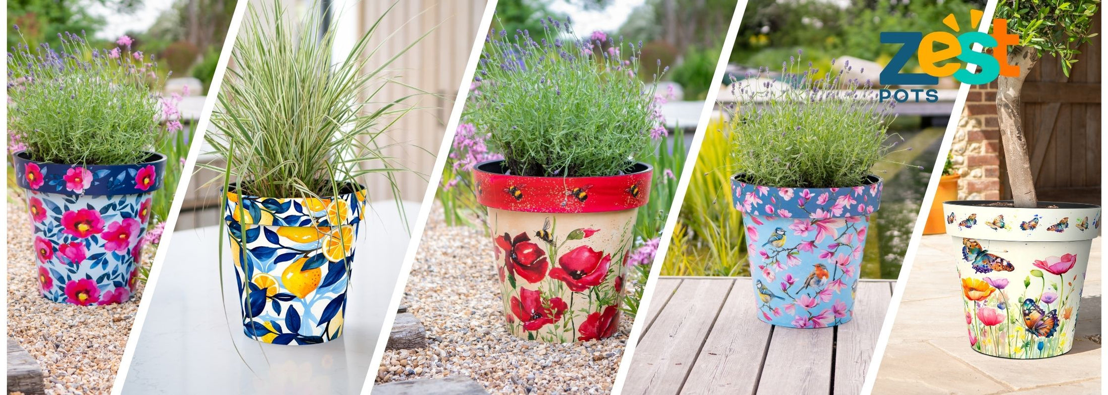 Sunshine Ceramica – sunshineceramica.com