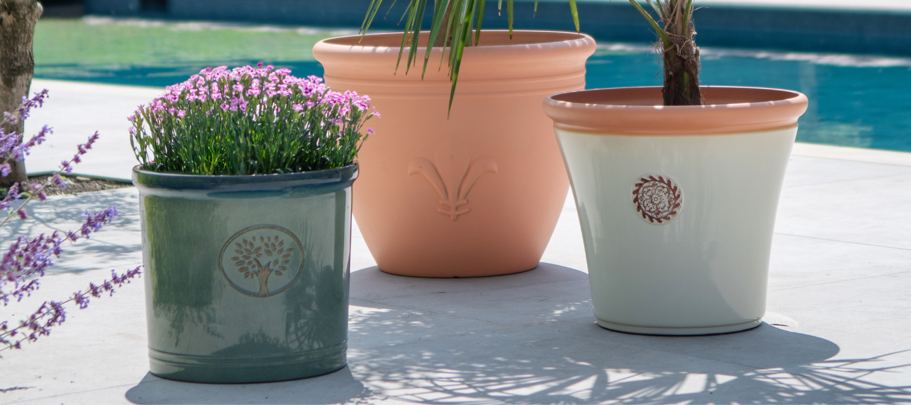 Sunshine Ceramica – sunshineceramica.com